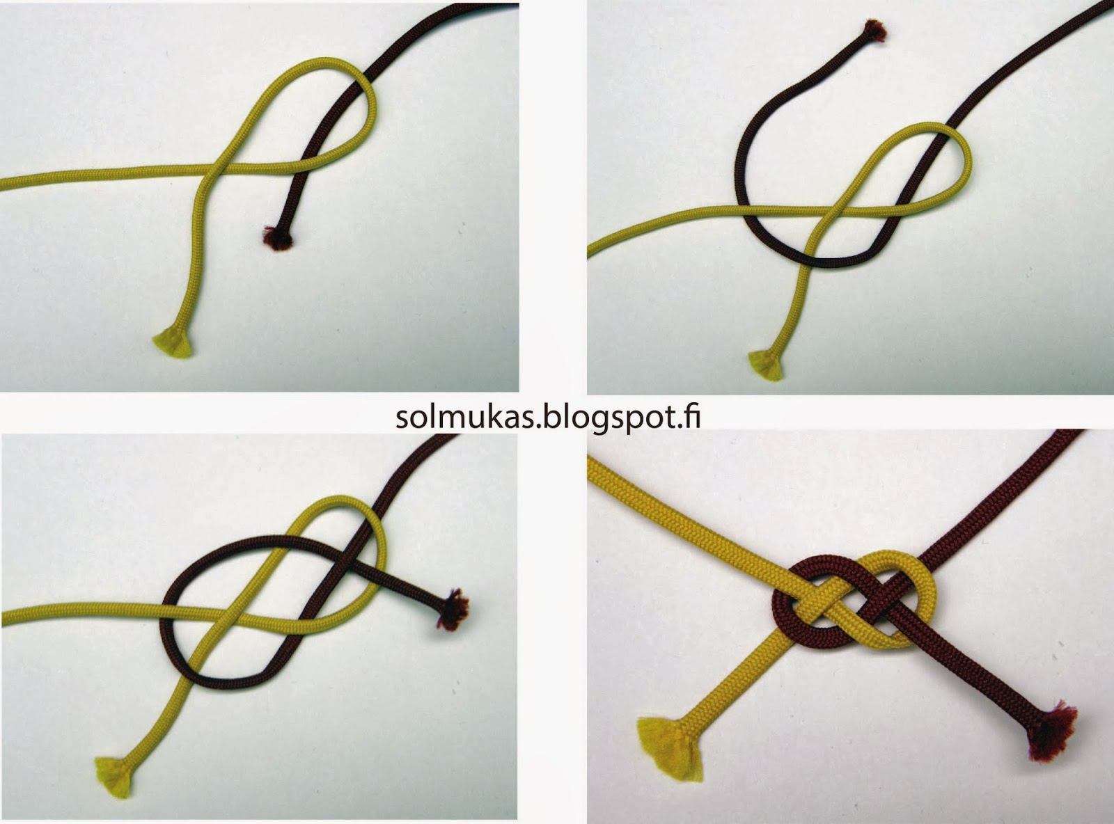 Solmukas: Merimiessolmu ja sen sukulaiset