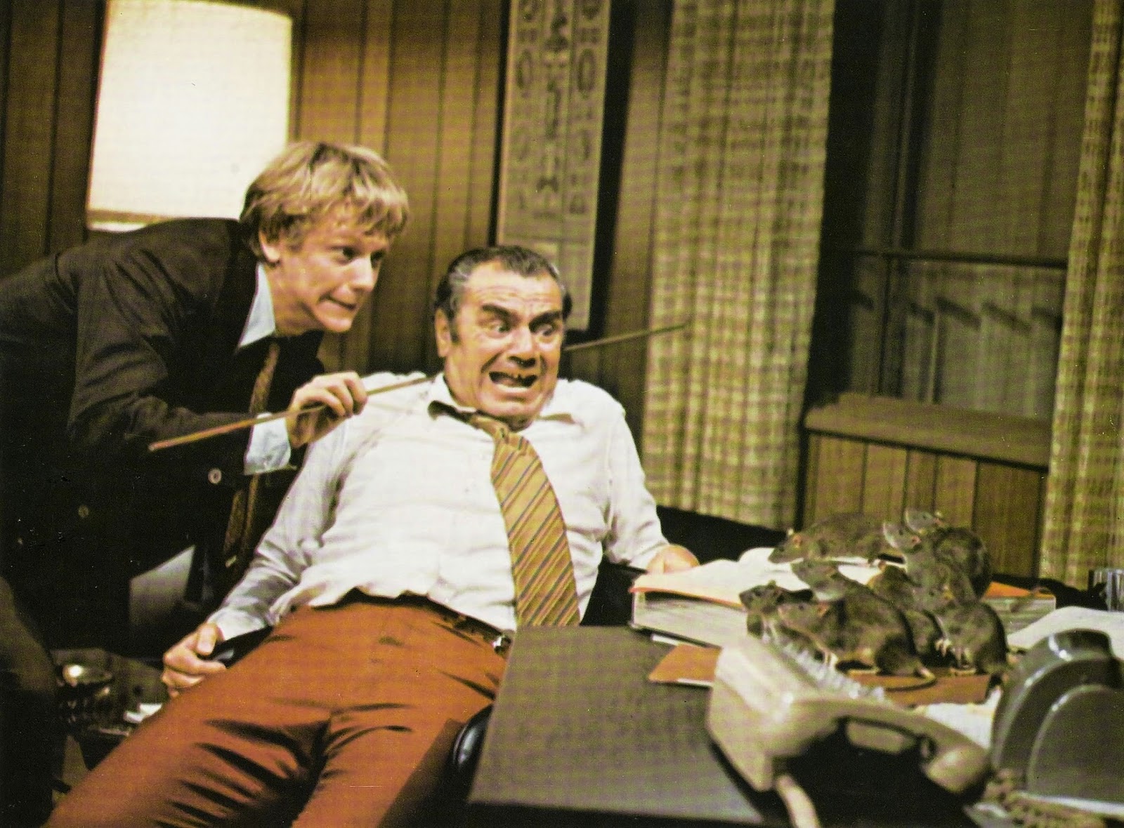 MONDO BIZARRO: Rare Flix: Willard (1971)