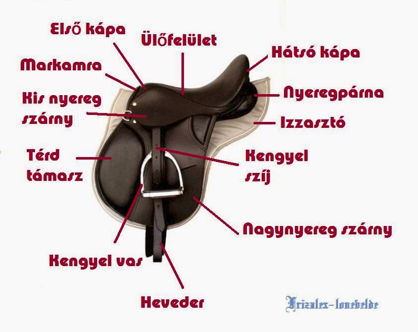 A ló és a felszerelése
