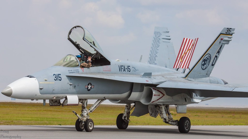US NAVY TACTICAL DEMO TEAM UNVEILS HORNET SPECIAL COLOR - Blog Before ...