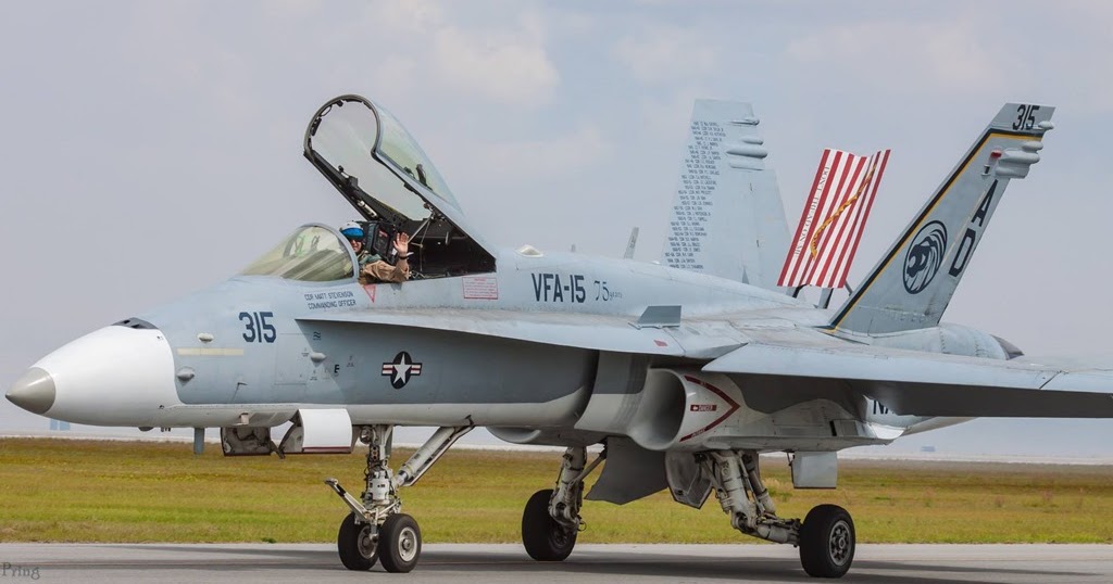 US NAVY TACTICAL DEMO TEAM UNVEILS HORNET SPECIAL COLOR - Blog Before ...