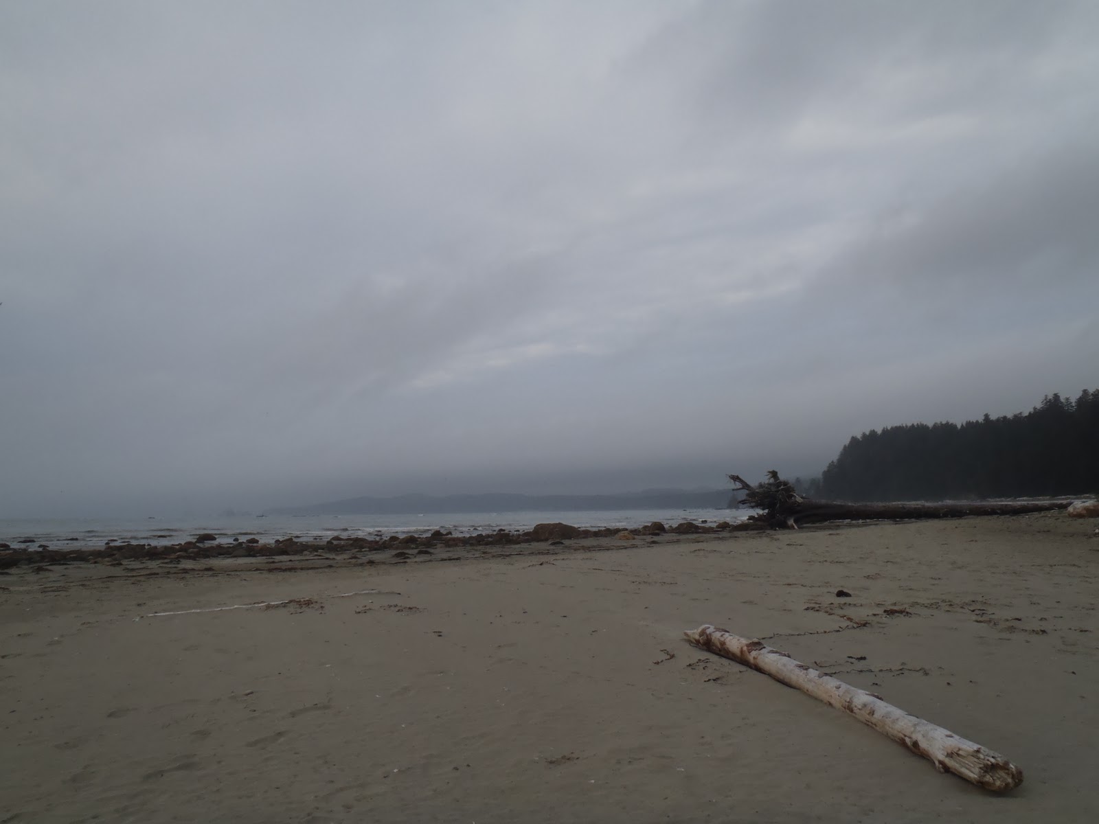 The coastline of Cape Alava