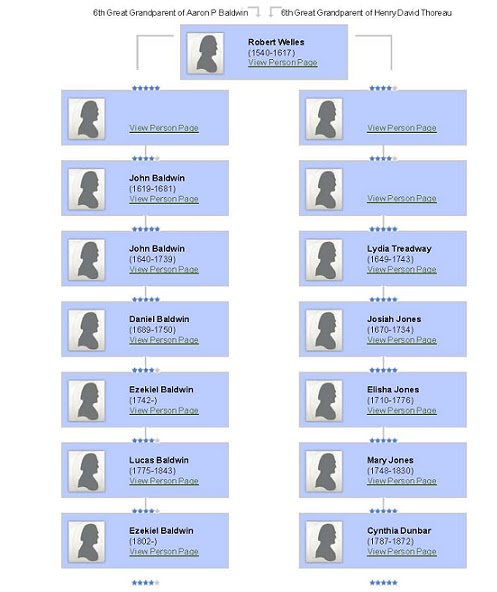 TransylvanianDutch: One World Tree