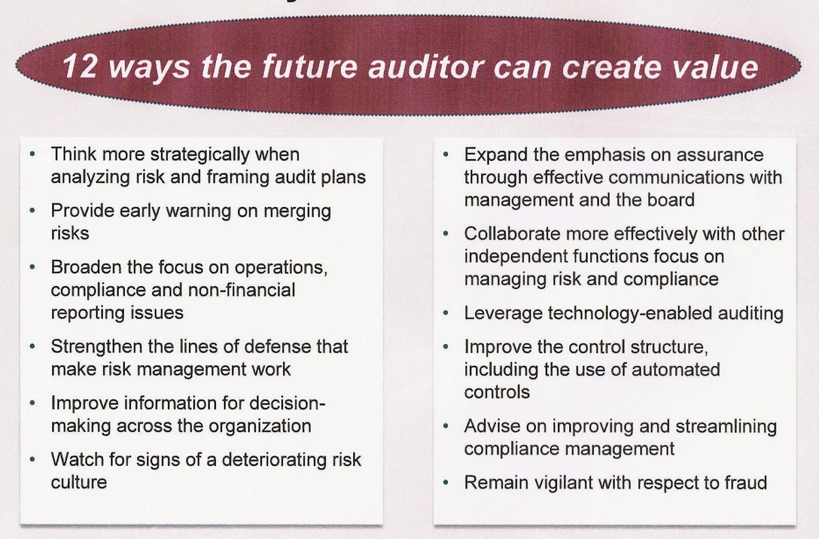 My Thoughts: Is This Your Vision of The Future Auditor?