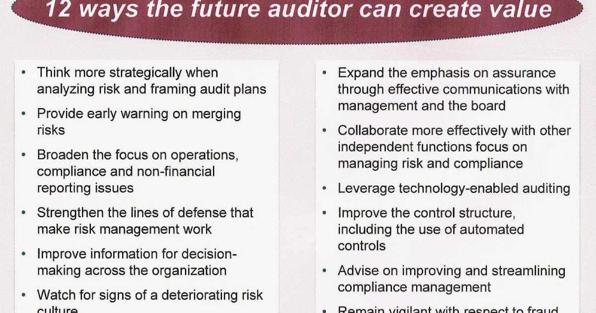 My Thoughts: Is This Your Vision of The Future Auditor?