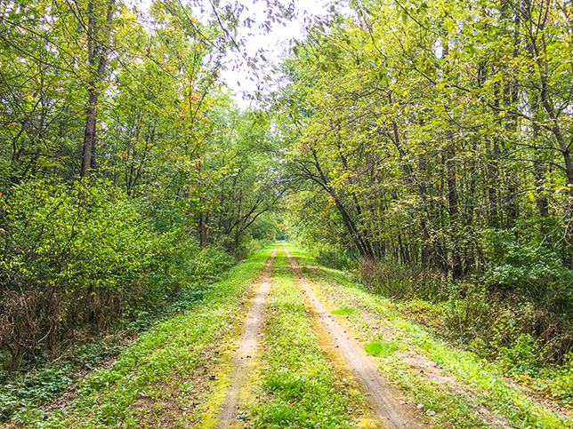 Biking The Ahnapee State Trail