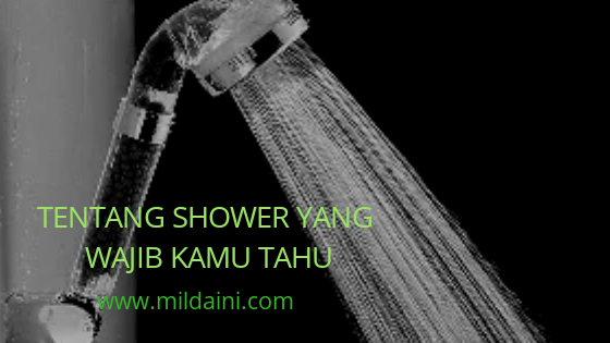 Harga Shower dan Beberapa Hal Penting yang Harus Diperhatikan Agar ...