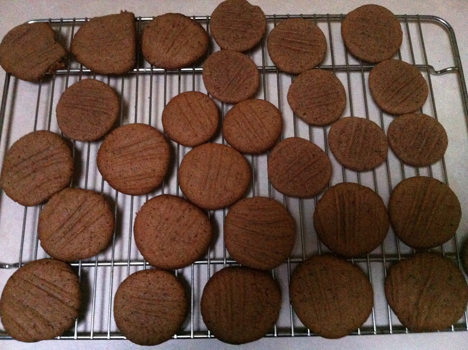 Thermomix Vegetarian style: Milo Biscuits-quick and easy