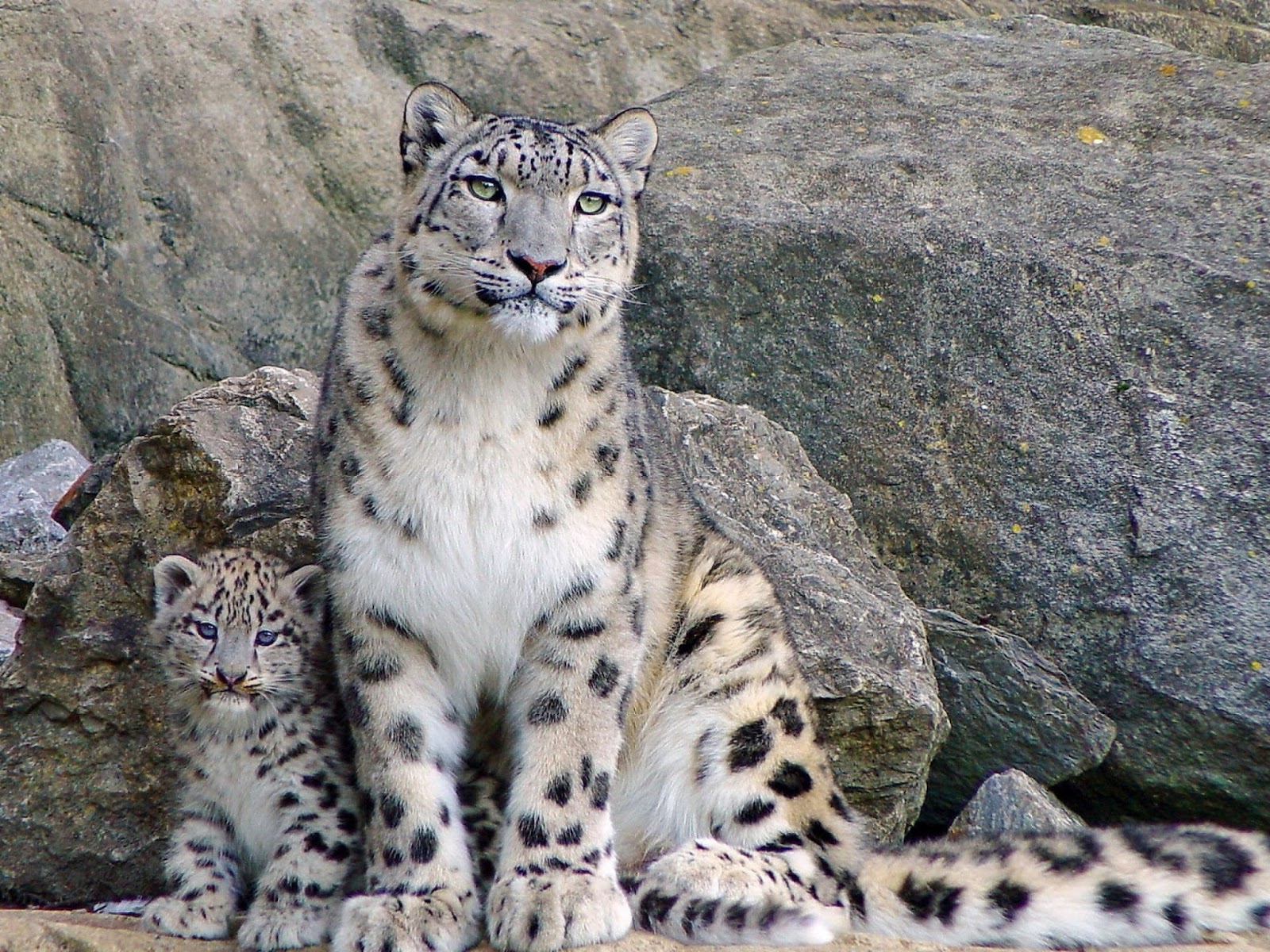 Author Robin Densmore Fuson: Salvation/Adoption