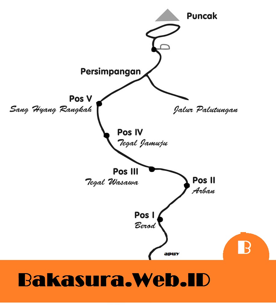 Informasi Lengkap Pendakian Gunung Ciremai Via Jalur Apuy, Majalengka - Bakasura.web.id