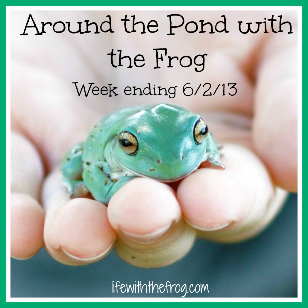 kissing the frog: Around the Pond with the Frog~Week Ending 6/2/13