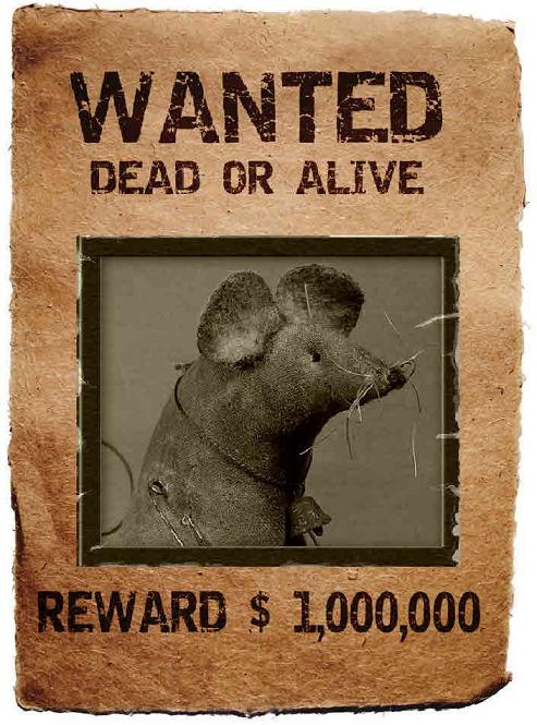 Through My Back Door: Coffee, Visiting, and Tweaking