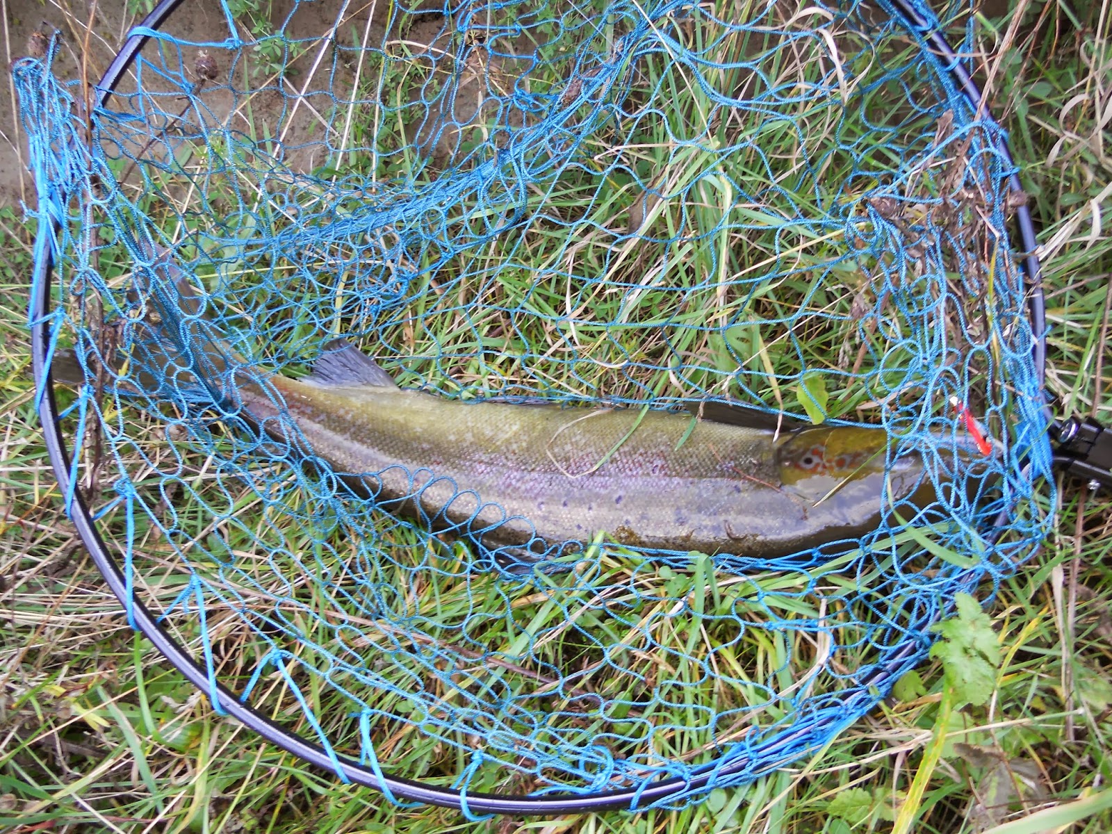 Just One Week: Ambush Tactics - close, personal and a little dirty