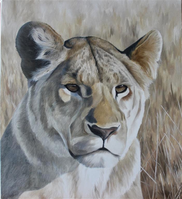 Clive Meredith Wildlife Art: Lioness oil painting progress update