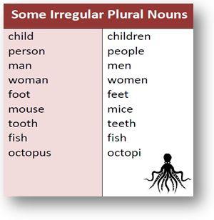 Funny English Pics: IRREGULAR PLURAL NOUNS
