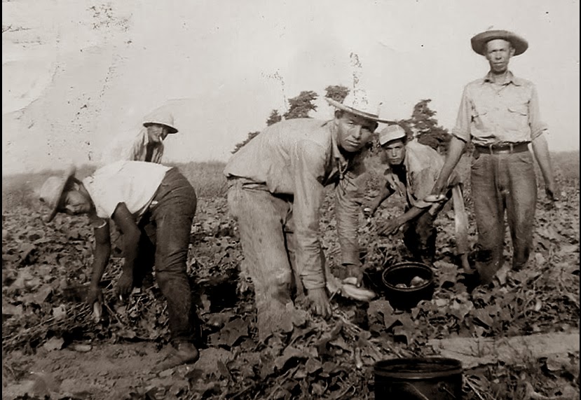 Punk Rock Parents: A Real Look at the Bracero Program
