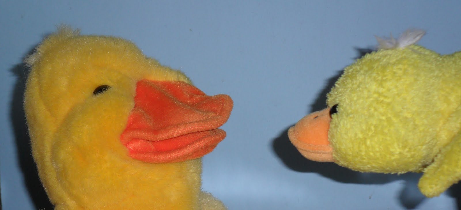 Beyond the Book Storytimes: Where are Thumbkin, Pointer, and Ducky?