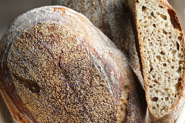 Tartine Sprouted Amaranth Bread - Ever Open Sauce