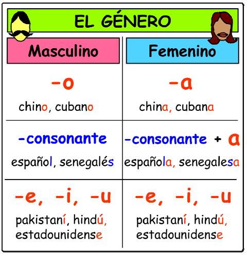 E-Spanish for free: El género del sustantivo