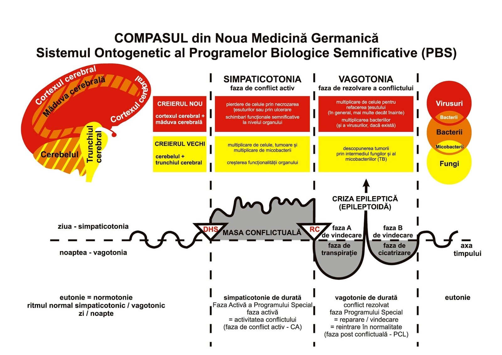 Autocunoasterea prin Constientizarea Sinelui: Cum sa facem o prezentare ...