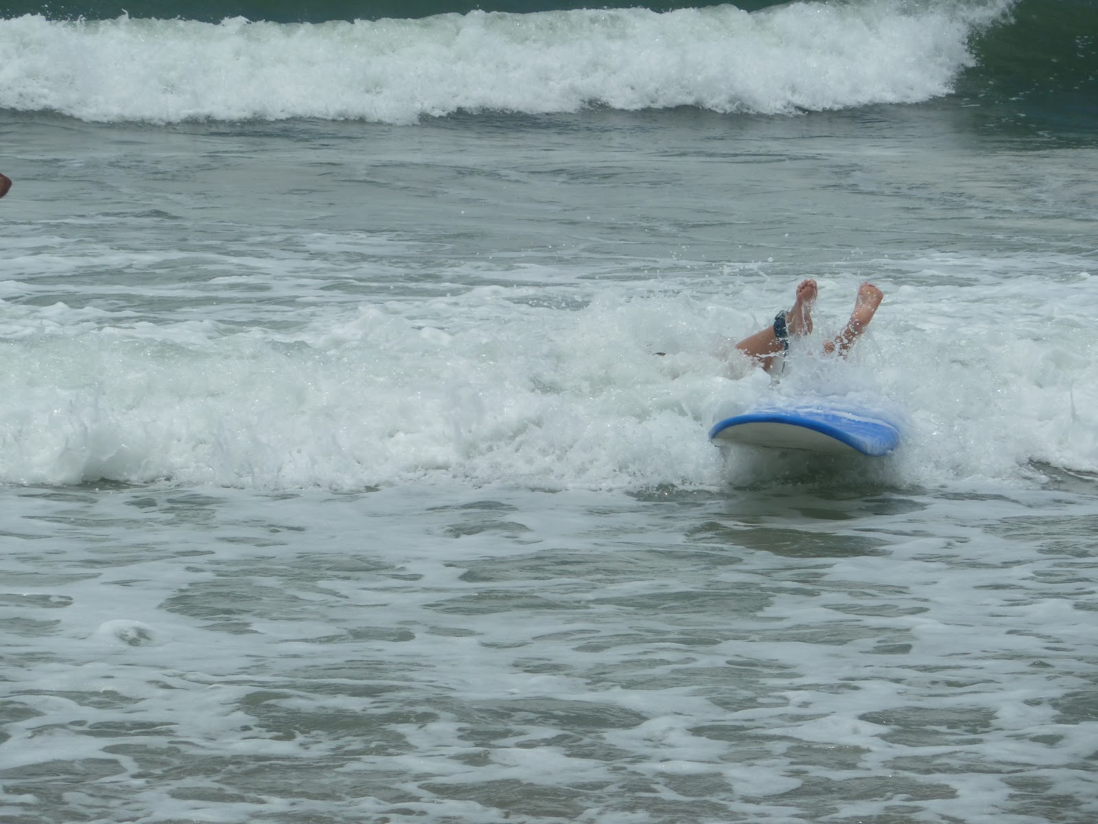 Alex around the world: 2012