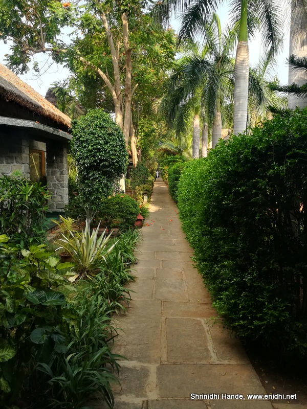 Sparsa Resort Tiruvannamalai-Detailed review - eNidhi India Travel Blog