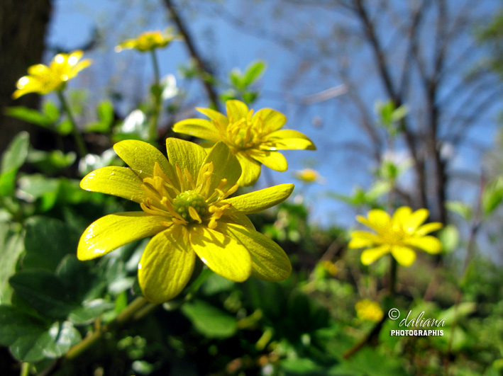 Photographis: April 2017