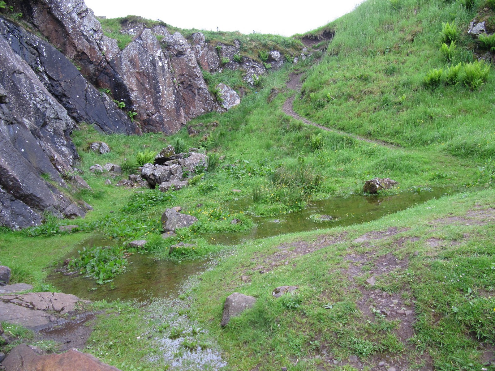 A J Thorley Mountaineering: Neilston Quary 23rd June 2012