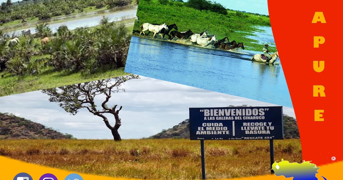 PAISAJES DEL ESTADO APURE - Culturarte Venezuela