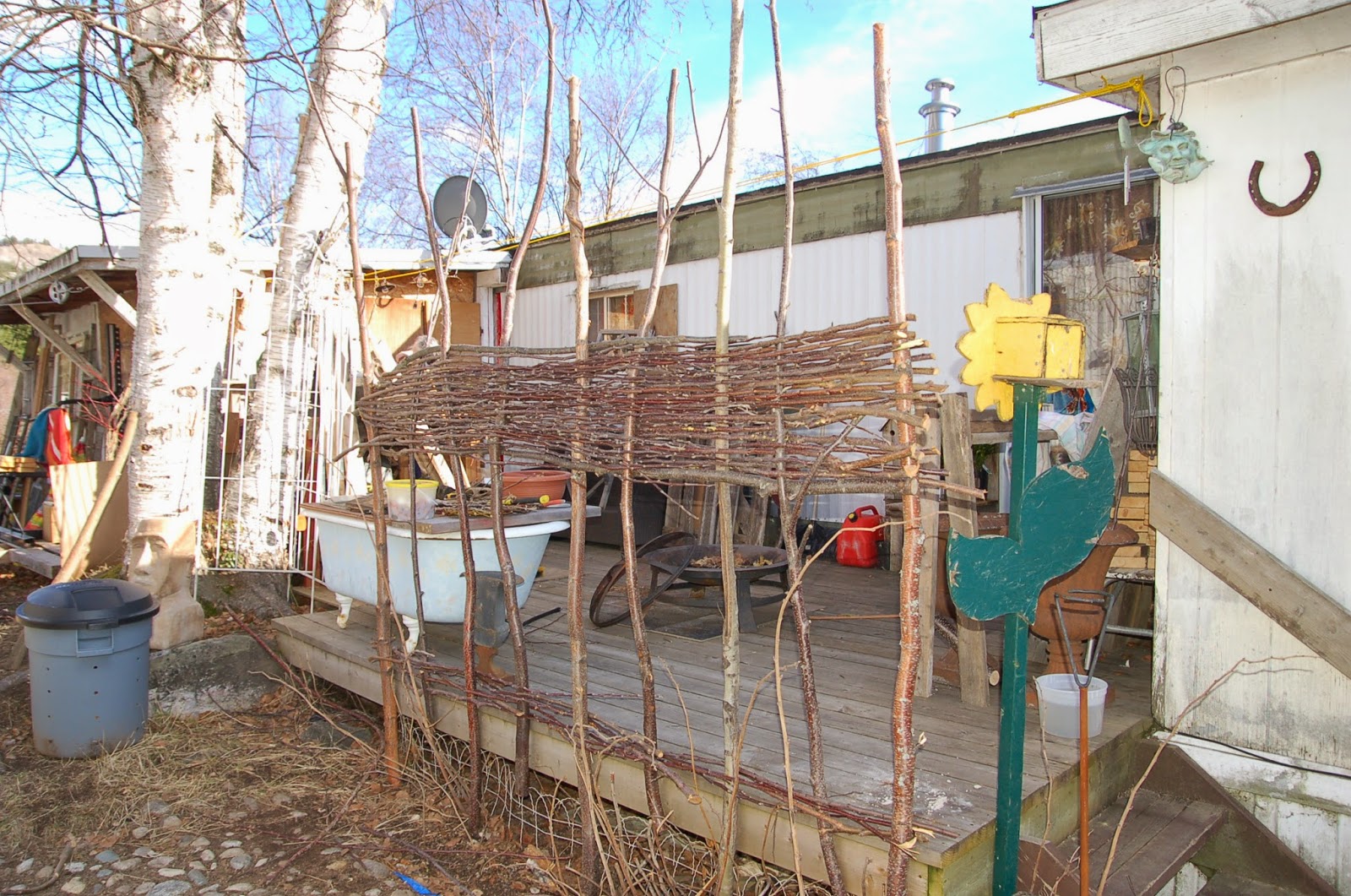 Fiddlehead Time...: Still here...planning...