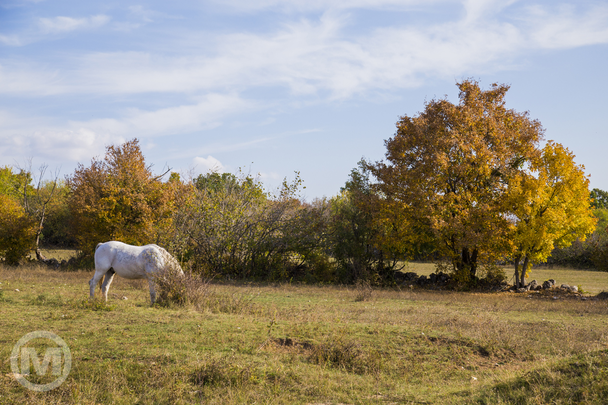 Fall in Bosnia [Part 1/3]: Visiting Busko Blato - Mersad Donko Photography