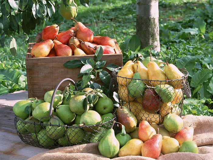 Set Apart for More: The Fruit of The Spirit: How???