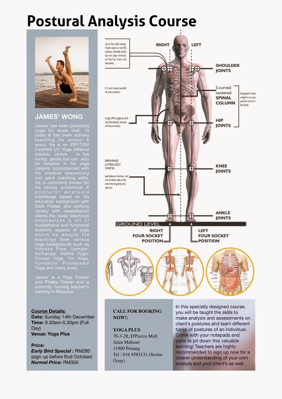 Yoga Plus: Yoga Workshop - Postural Analysis Course