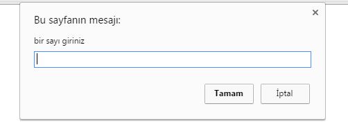 İlk Javascript Örneği - BİLİŞİM DERSLERİ