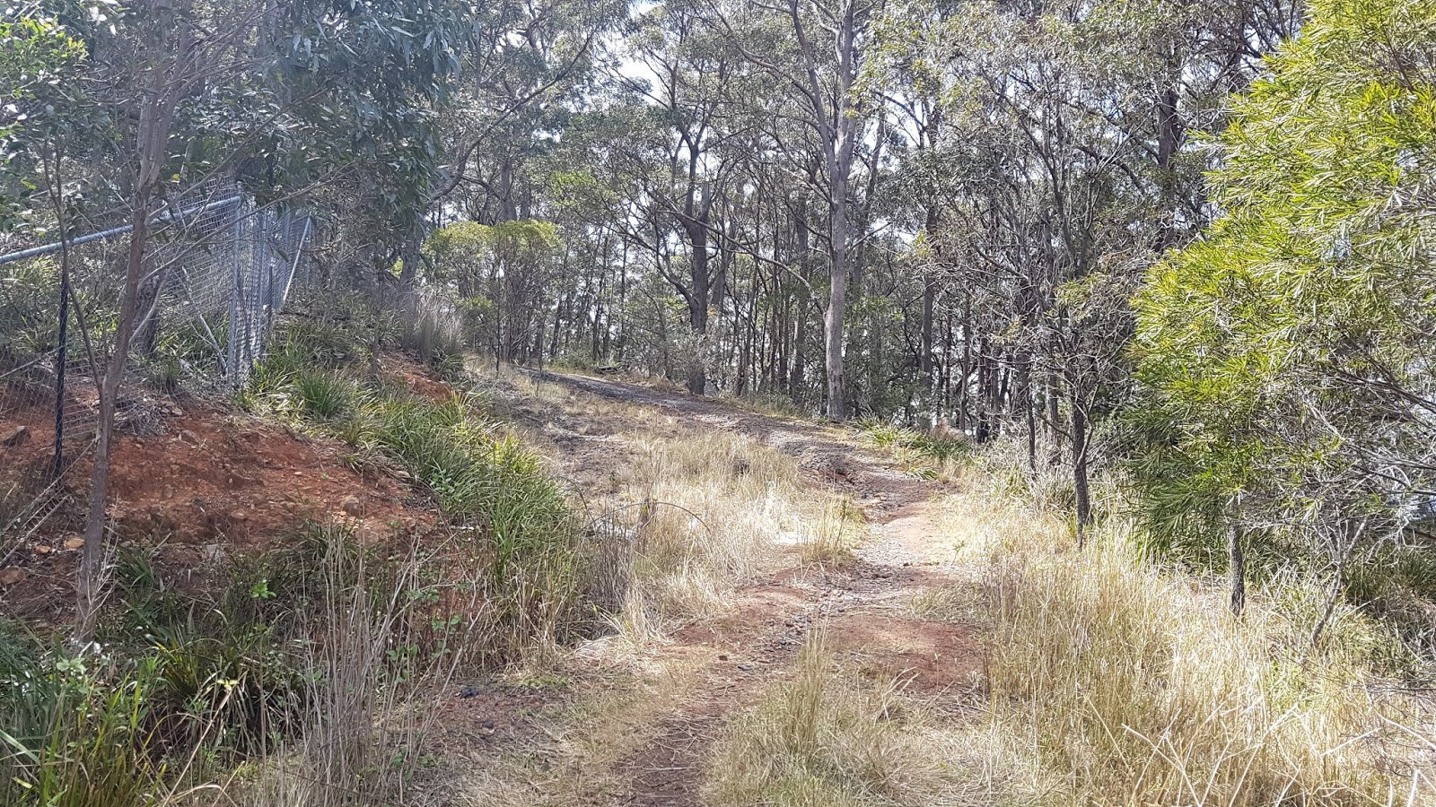 Steventure: Bong Bong Pass