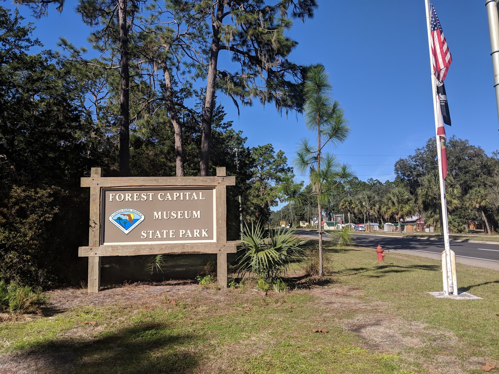 The Mountain Lioness: Trees and Crackers - Forest Capital Museum State Park