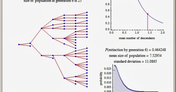 Probability: Simulation of a branching process