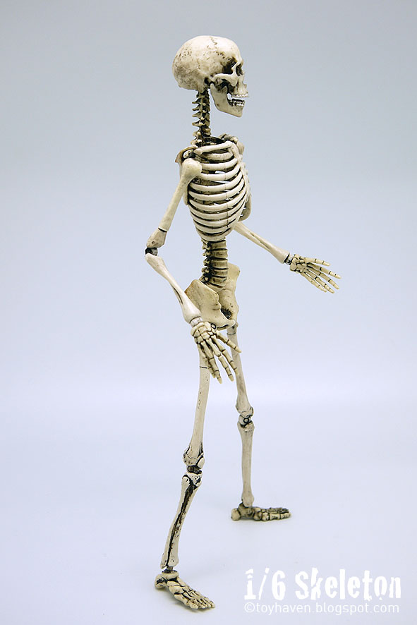 toyhaven: Review 1: Coo Model 1/6 scale Skeleton Soldier 12-inch figure ...