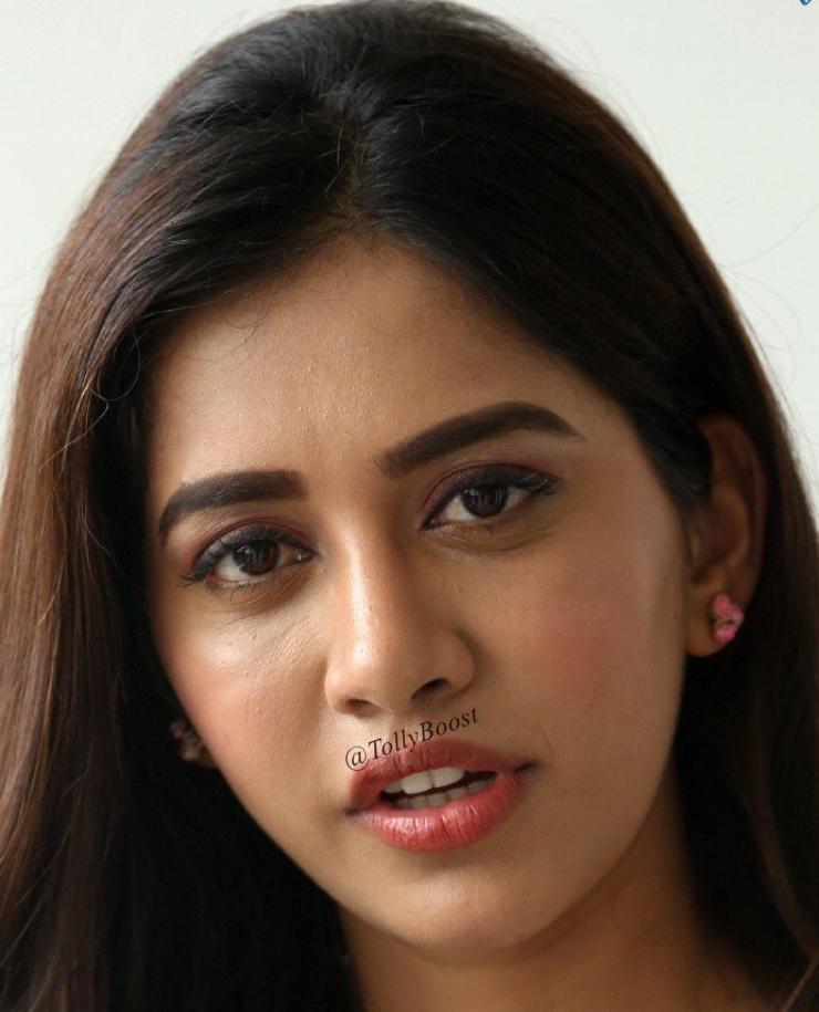 Beautiful Kannada Girl Nabha Natesh Long hair Smiling Face Close Up