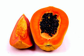 FAIDA ZITOKANAZO NA MATUMIZI YA MAPAPAI ~ KILIMO NA UFUGAJI