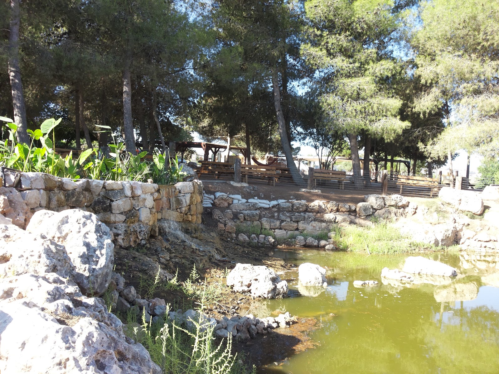 A Jewish Grandmother : Wonderful Rosh Chodesh Tammuz; Prepare for Av