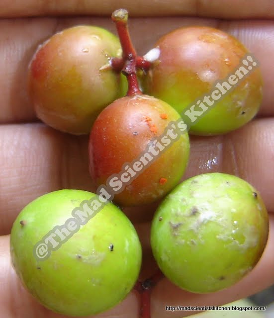 Kavli Kai or Karvandan che Chutney - The Mad Scientists Kitchen