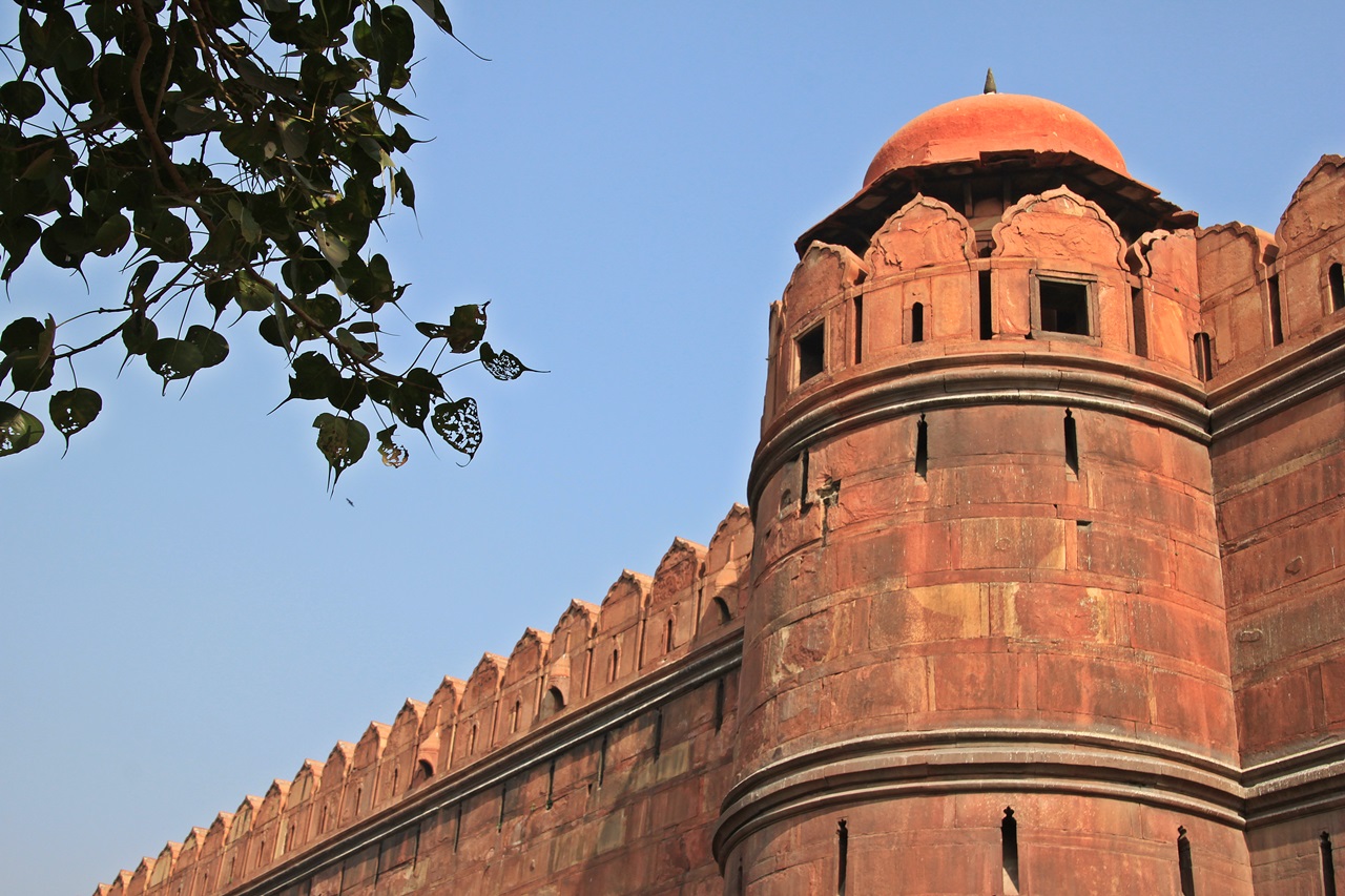 Els Viatges d'en Xavi i la Txell: El caos en estat pur!