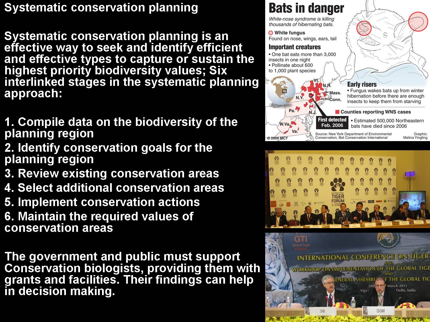 Dr Mat: conservation, understanding, commitment and Public Support