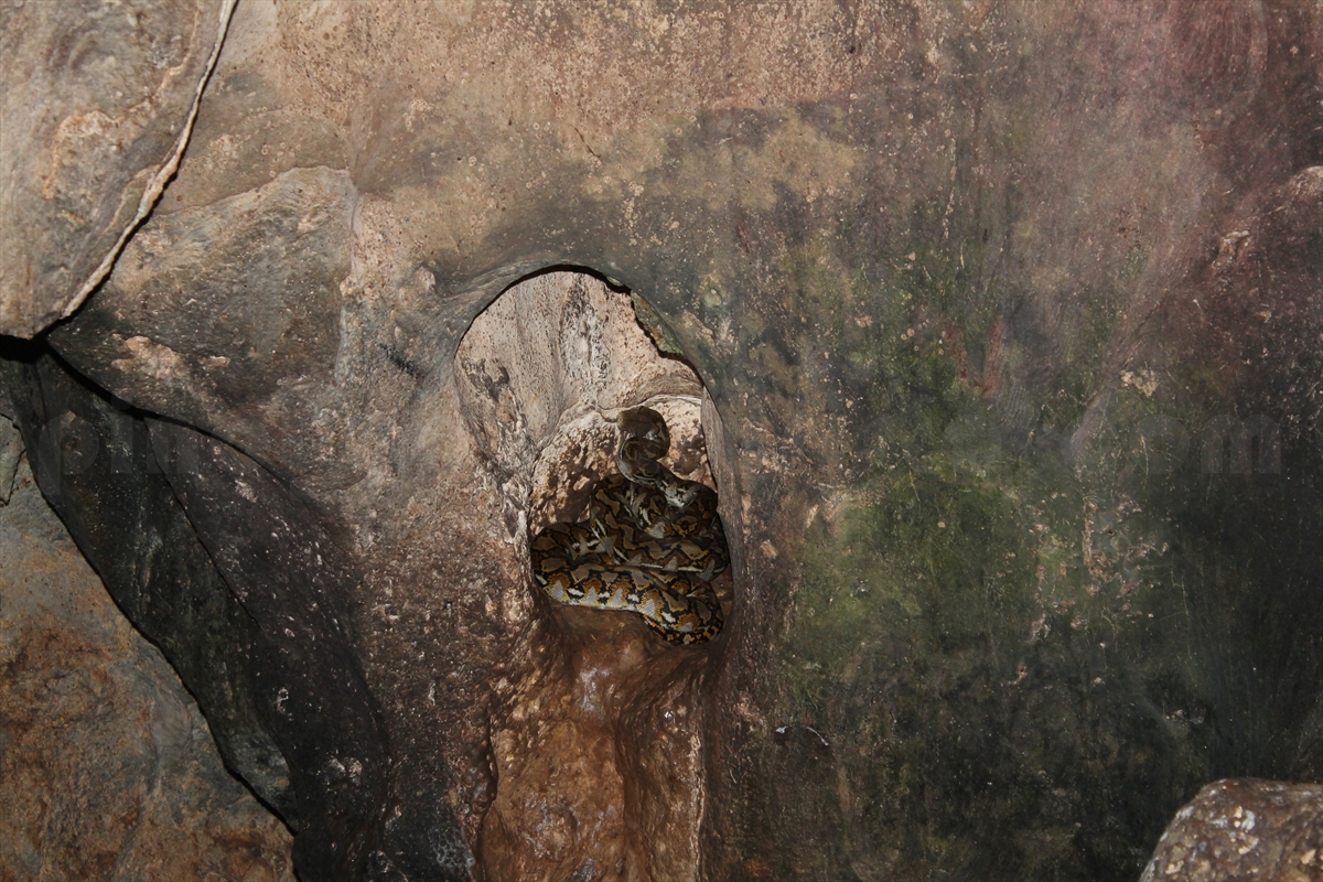 MARINDUQUE ITINERARY: 31 Best Things to Do in Marinduque (Island ...