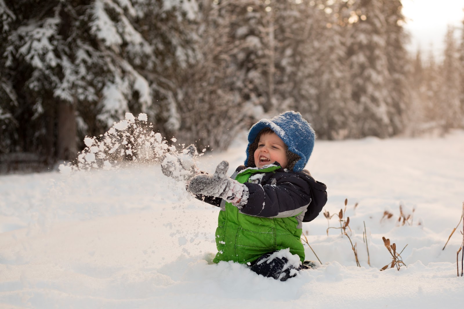 Black Dog and Company: The Fun in the Snow Never Ends