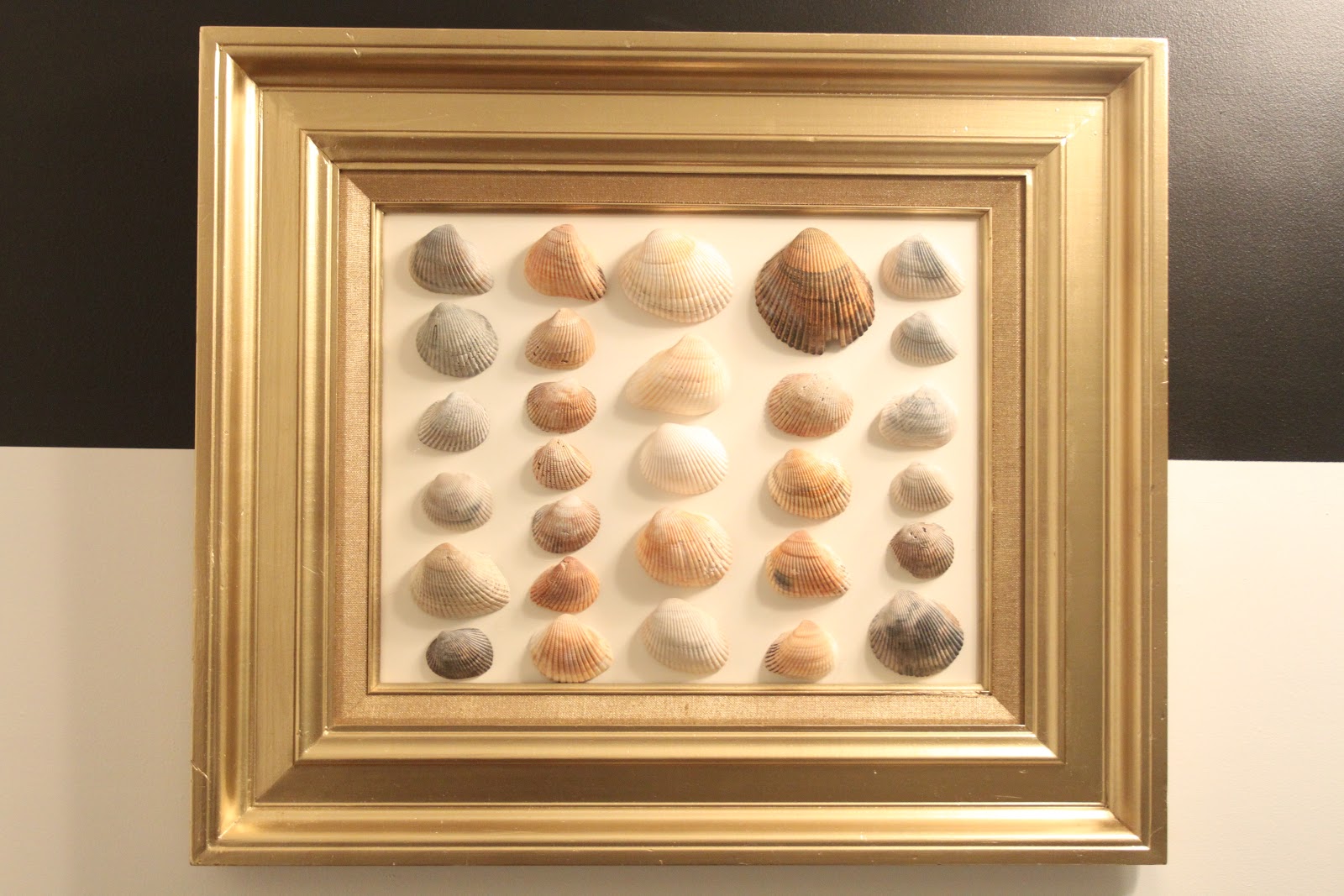 Dwellings By DeVore: Shell Art