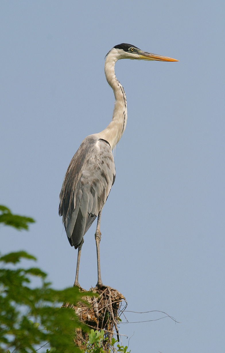 MAPAJO ECOLODGE / ECO ALBERGUE MAPAJO: TRAIL SYSTEM / Rutas y ...