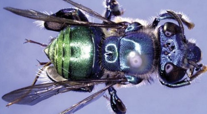 Welcome to Katfrog's Corner: January 2013