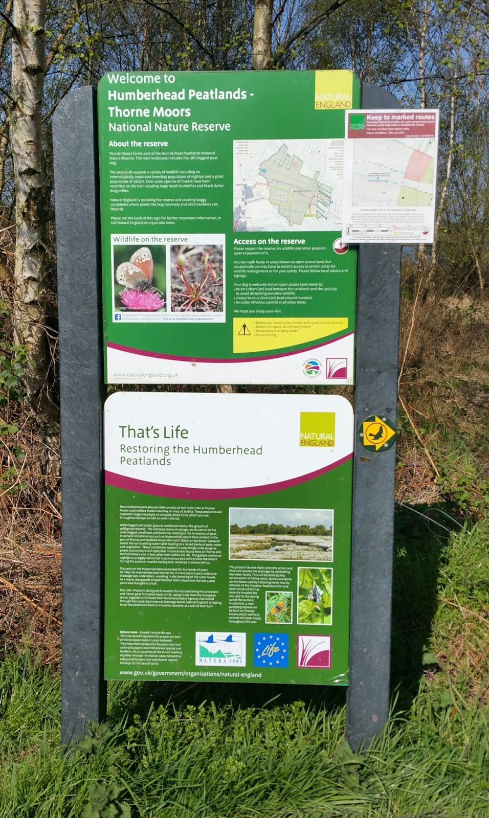 Steve's Birding,Wildlife & Walking Blog: The Moors.....Crowle & Thorne ...